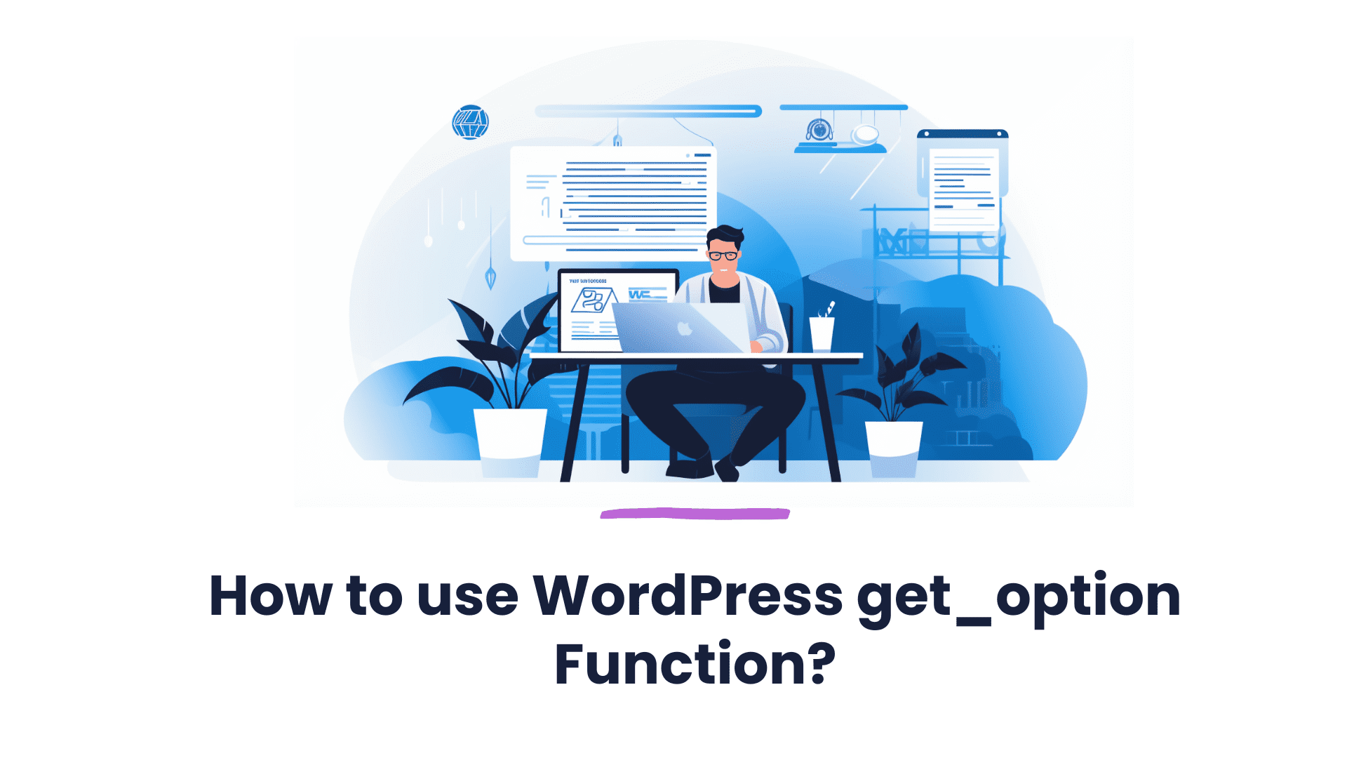 Guide to Using the WordPress get_option Function